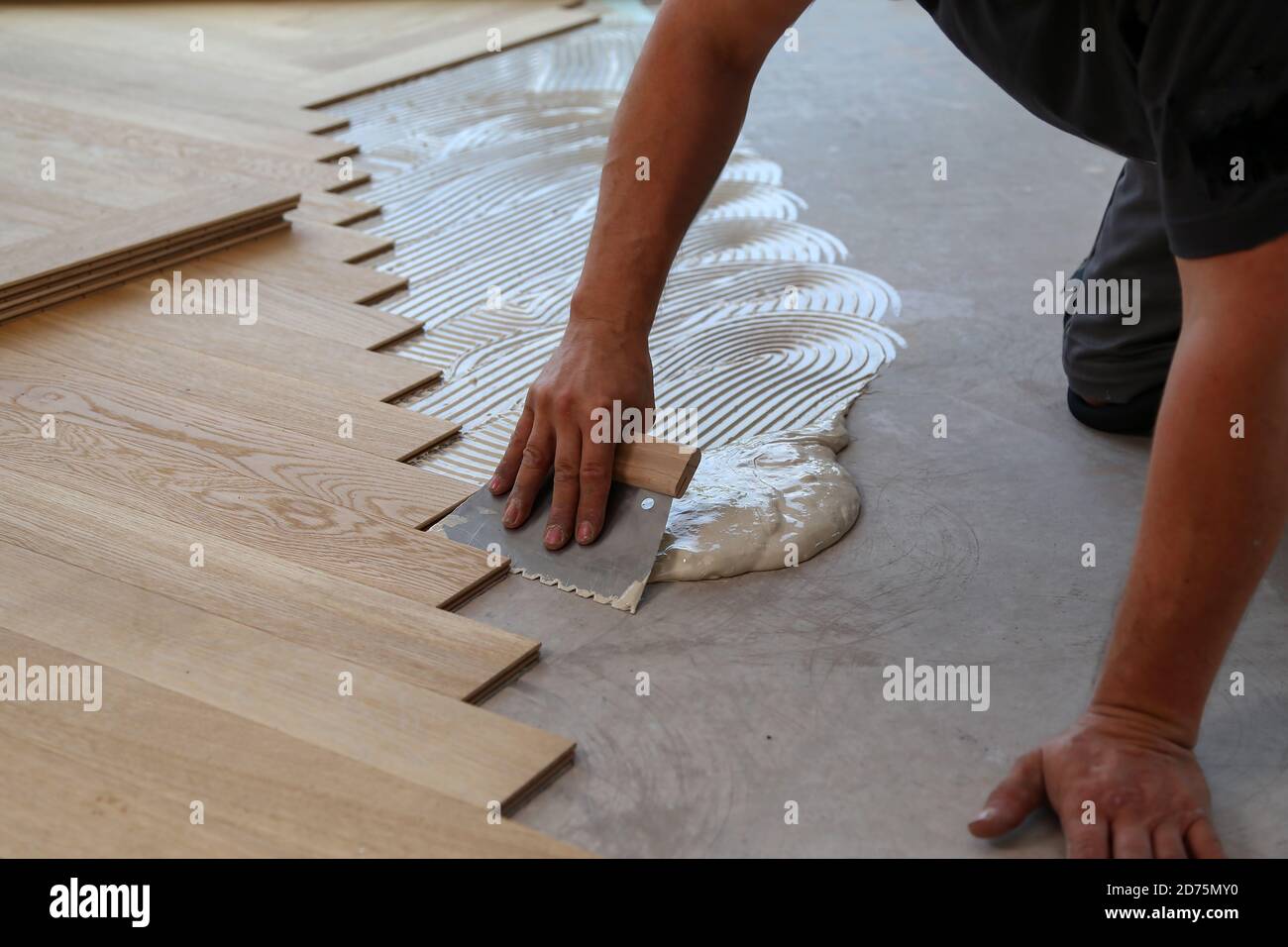 Man laying laminate flooring hi-res stock photography and images - Alamy