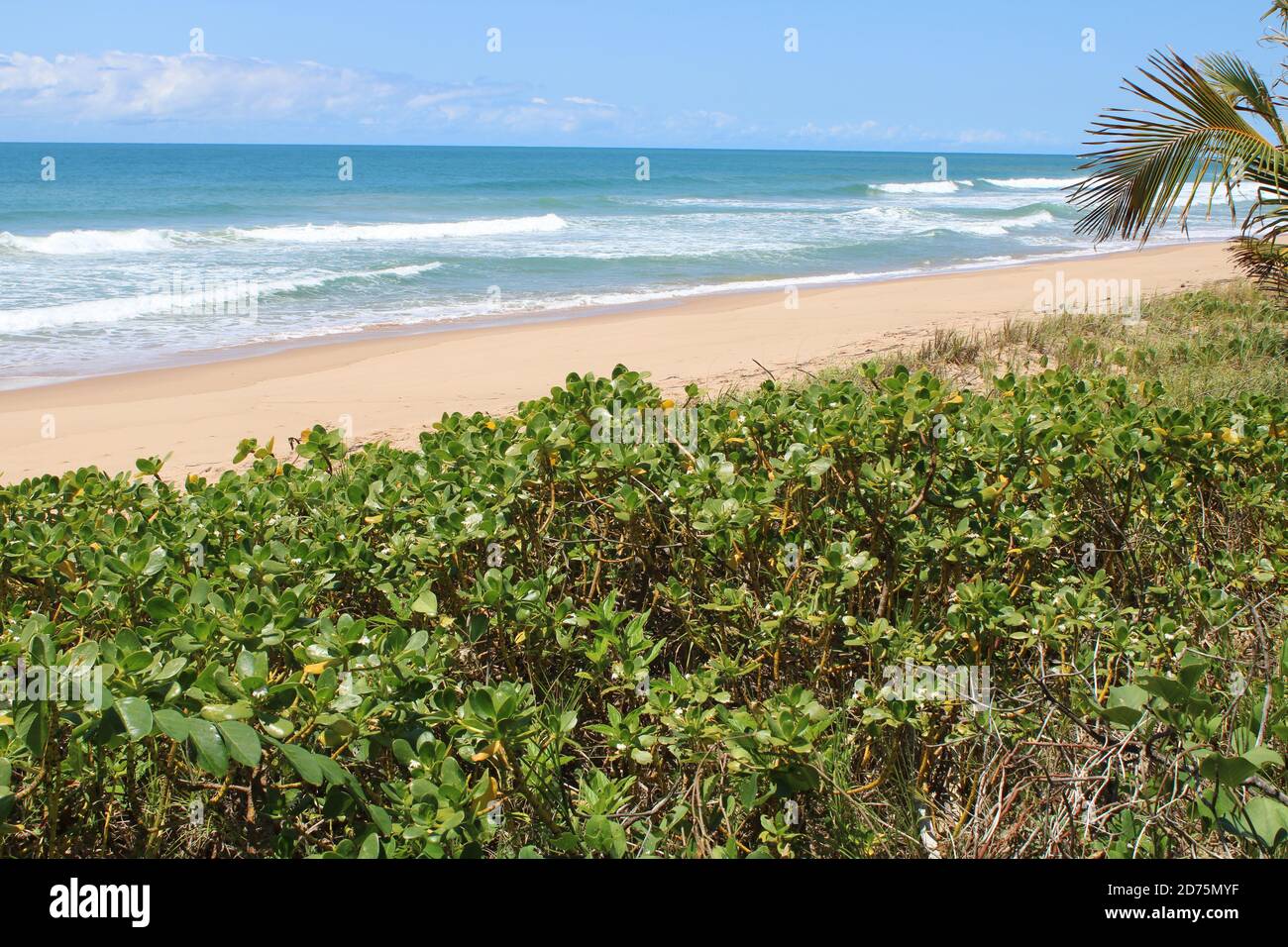 Sunny day in a Desert Beach in Brazil Stock Photo - Alamy