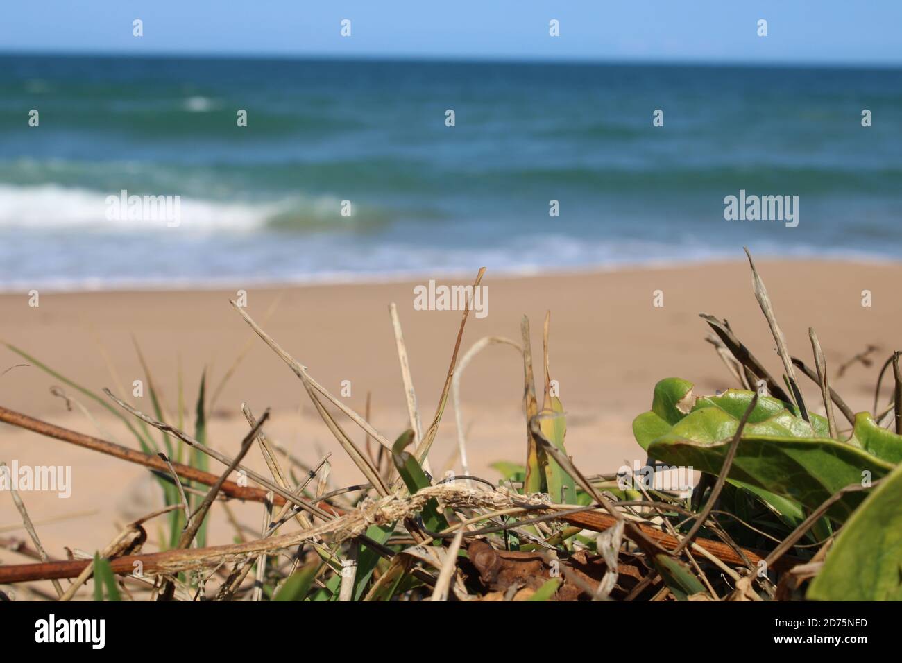 Sunny day in a Desert Beach in Brazil Stock Photo - Alamy