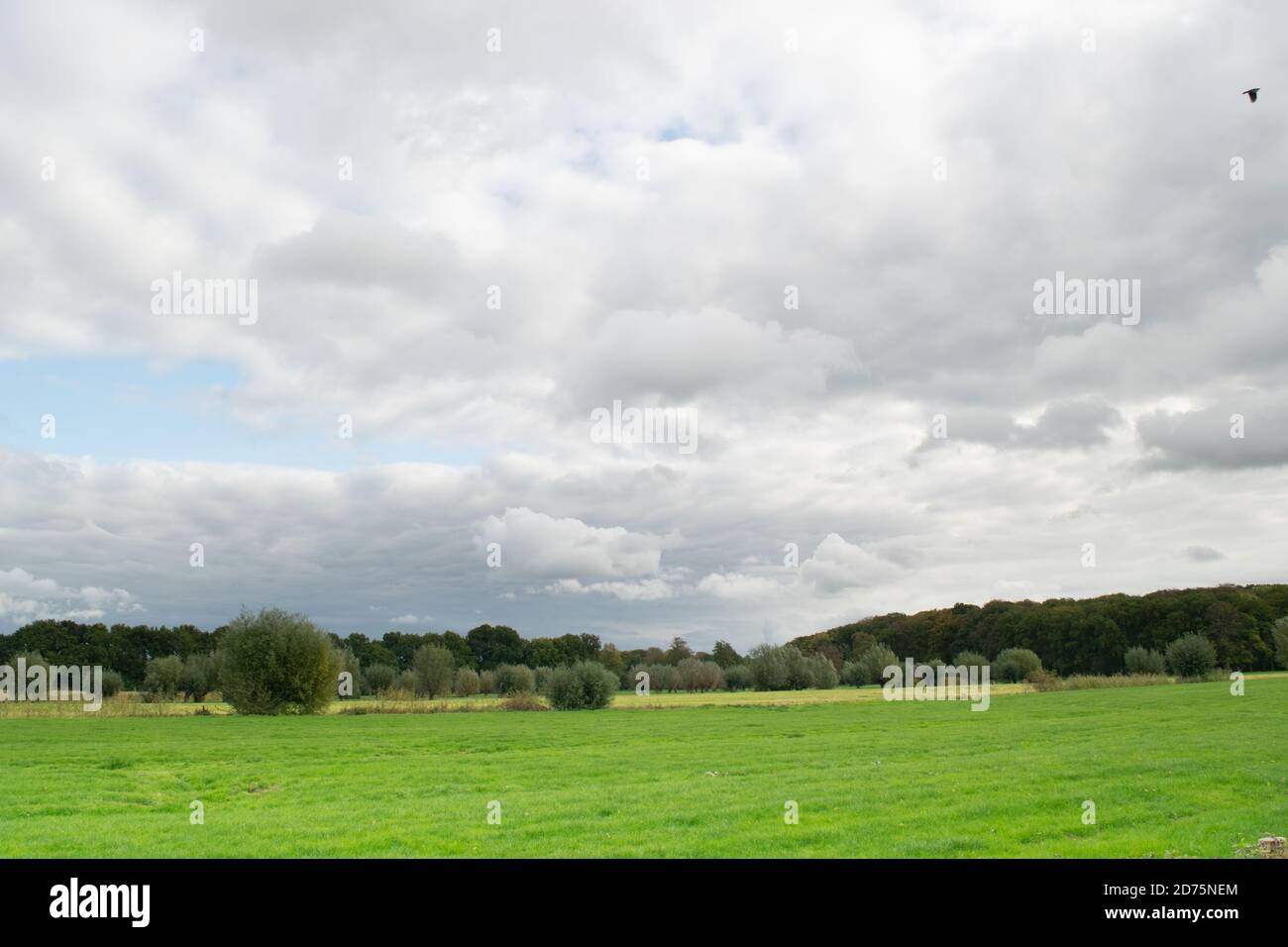 Dutch Meadow Grass landscape next to the Amelisweerd in the Province of ...