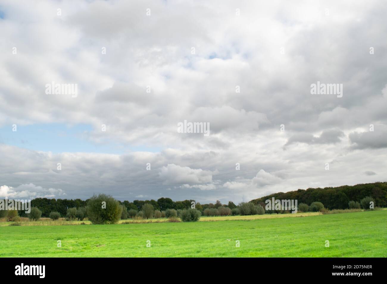 Dutch Meadow Grass landscape next to the Amelisweerd in the Province of ...