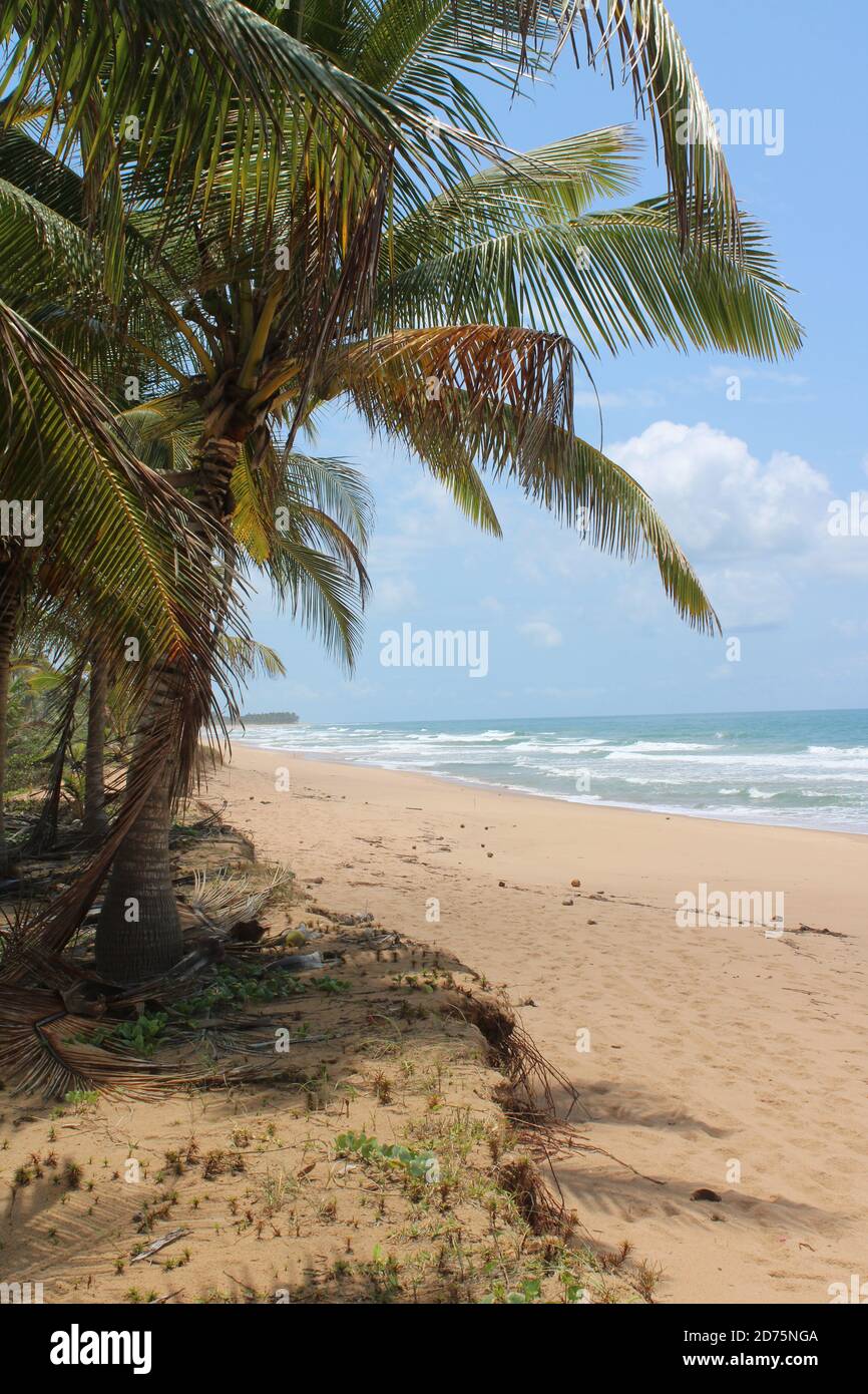 Sunny day in a Desert Beach in Brazil Stock Photo - Alamy