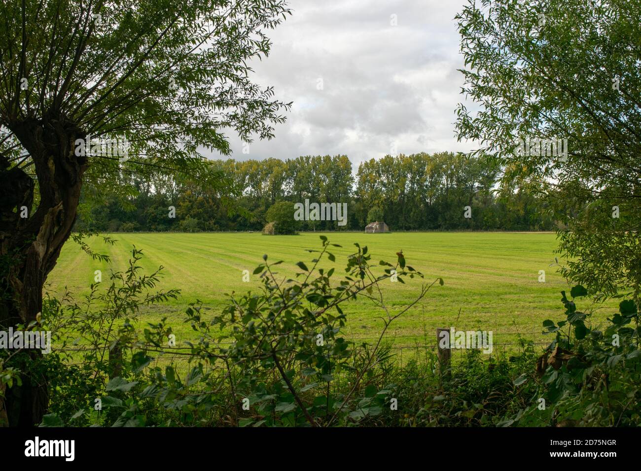 Several bunkers in a grassy landscape in utrecht Stock Photo - Alamy