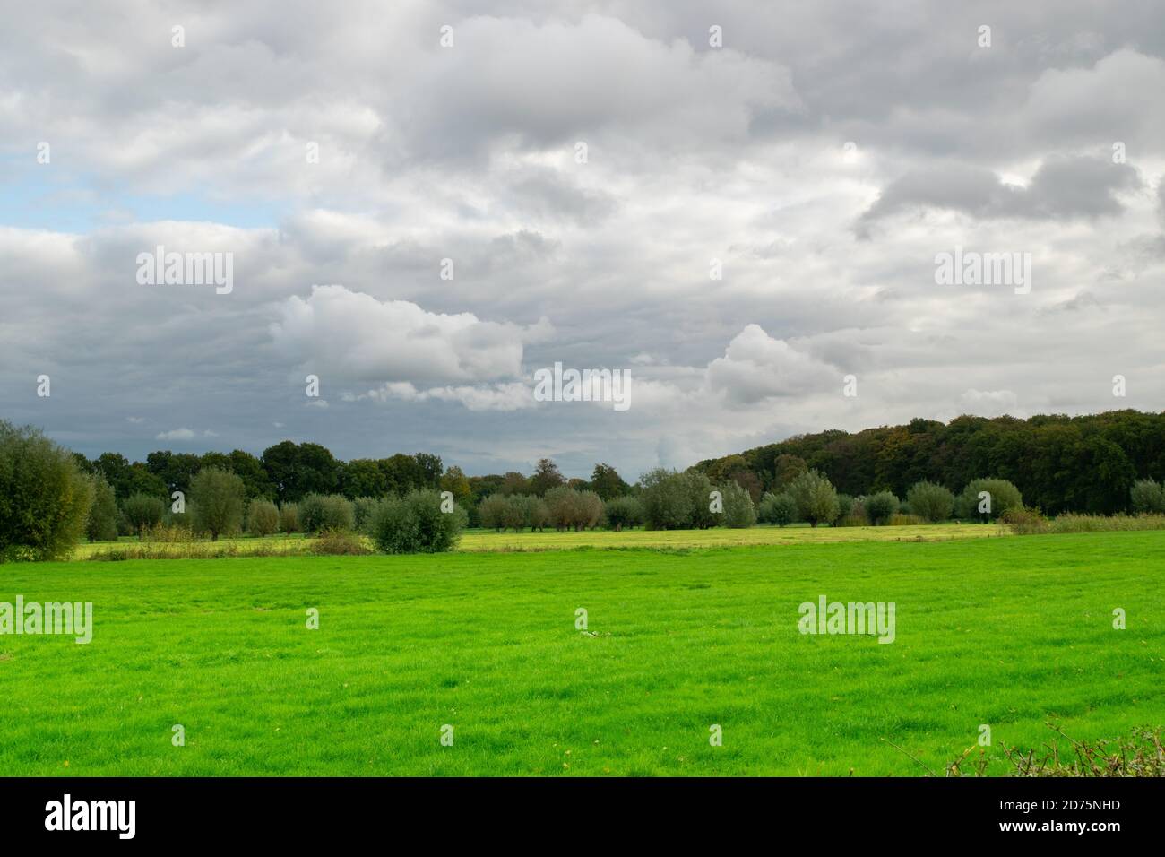 Dutch Meadow Grass landscape next to the Amelisweerd in the Province of ...