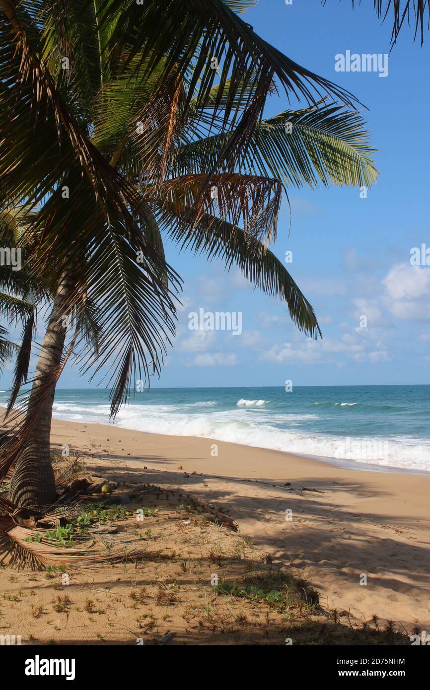 Sunny day in a Desert Beach in Brazil Stock Photo - Alamy