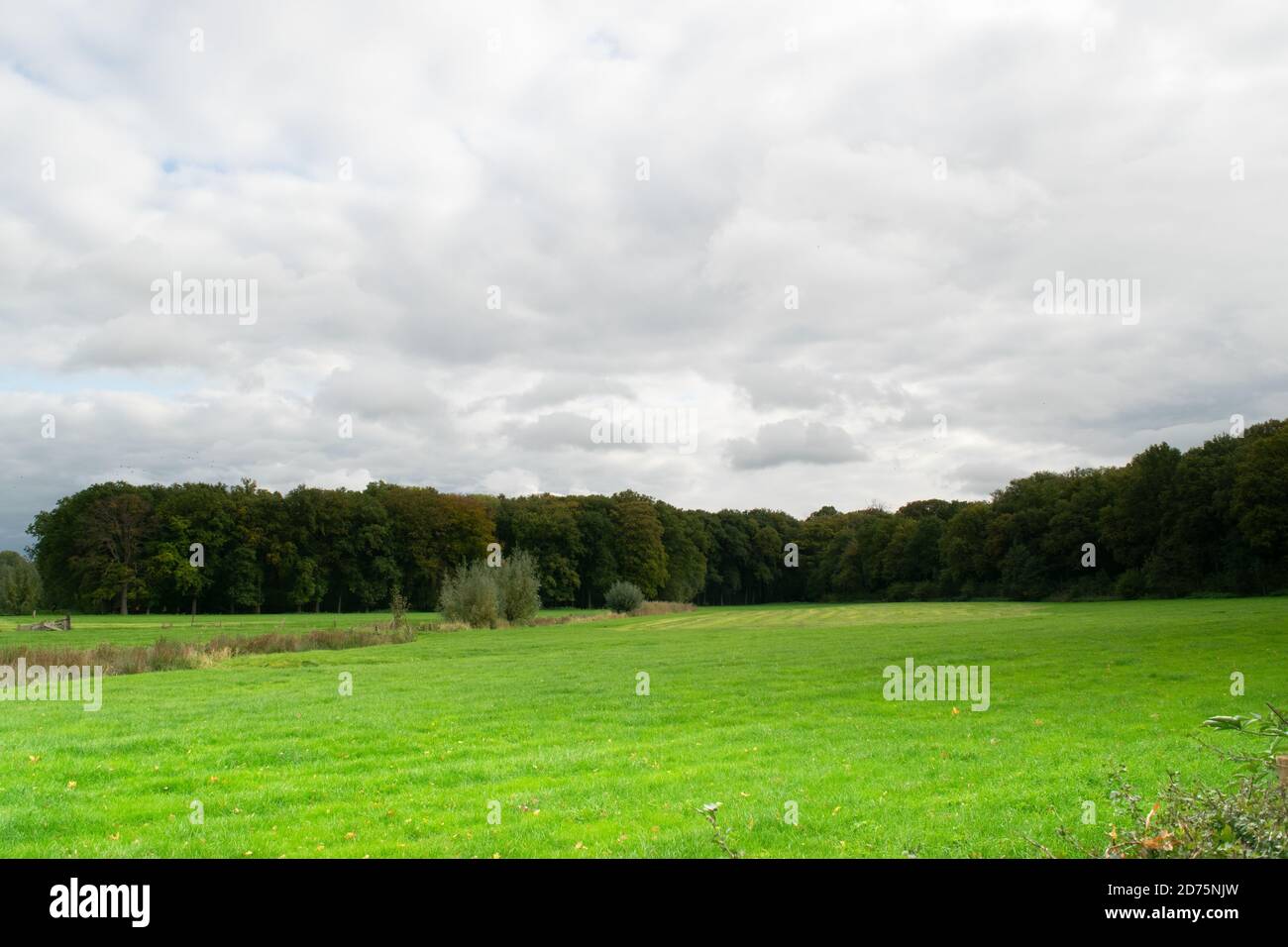 Dutch Meadow Grass landscape next to the Amelisweerd in the Province of ...