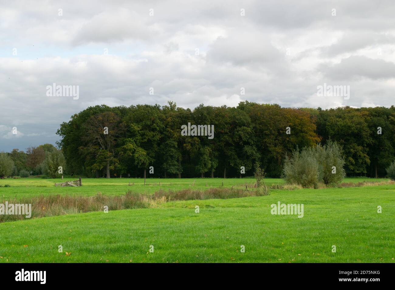 Dutch Meadow Grass landscape next to the Amelisweerd in the Province of ...