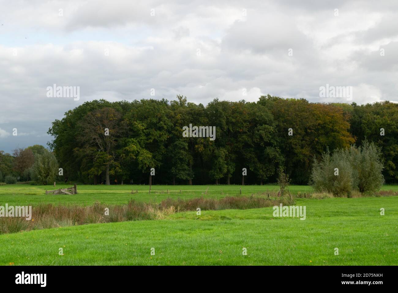 Dutch Meadow Grass landscape next to the Amelisweerd in the Province of ...