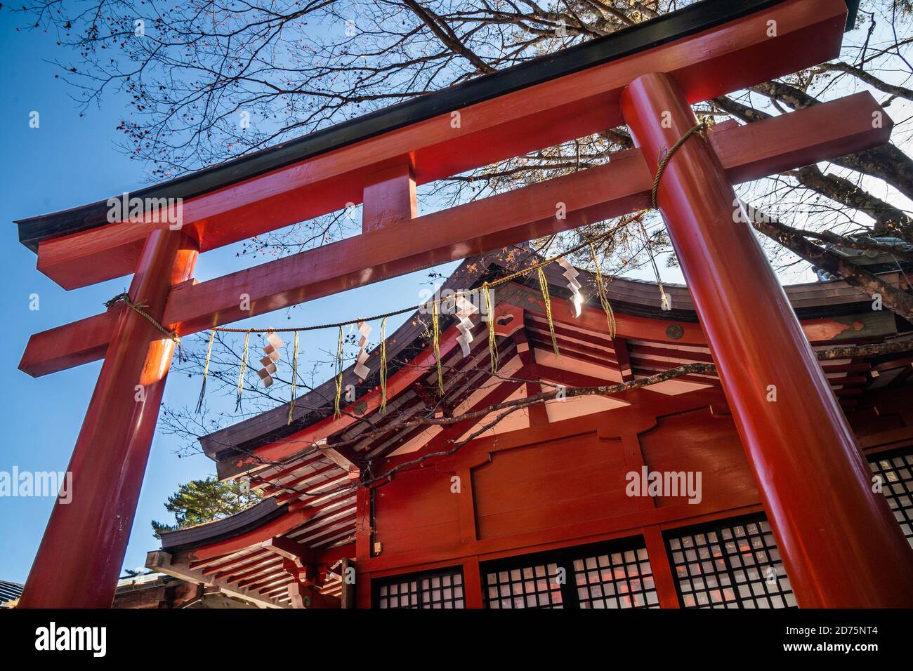Torii gate with shimenawa hi-res stock photography and images - Alamy