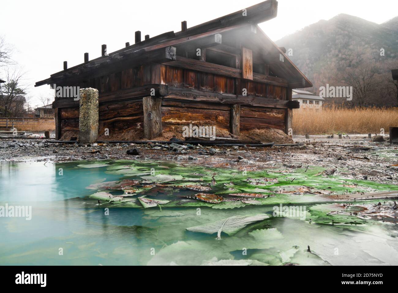 Hot springs in Japan coming out from the ground. The water is green ...