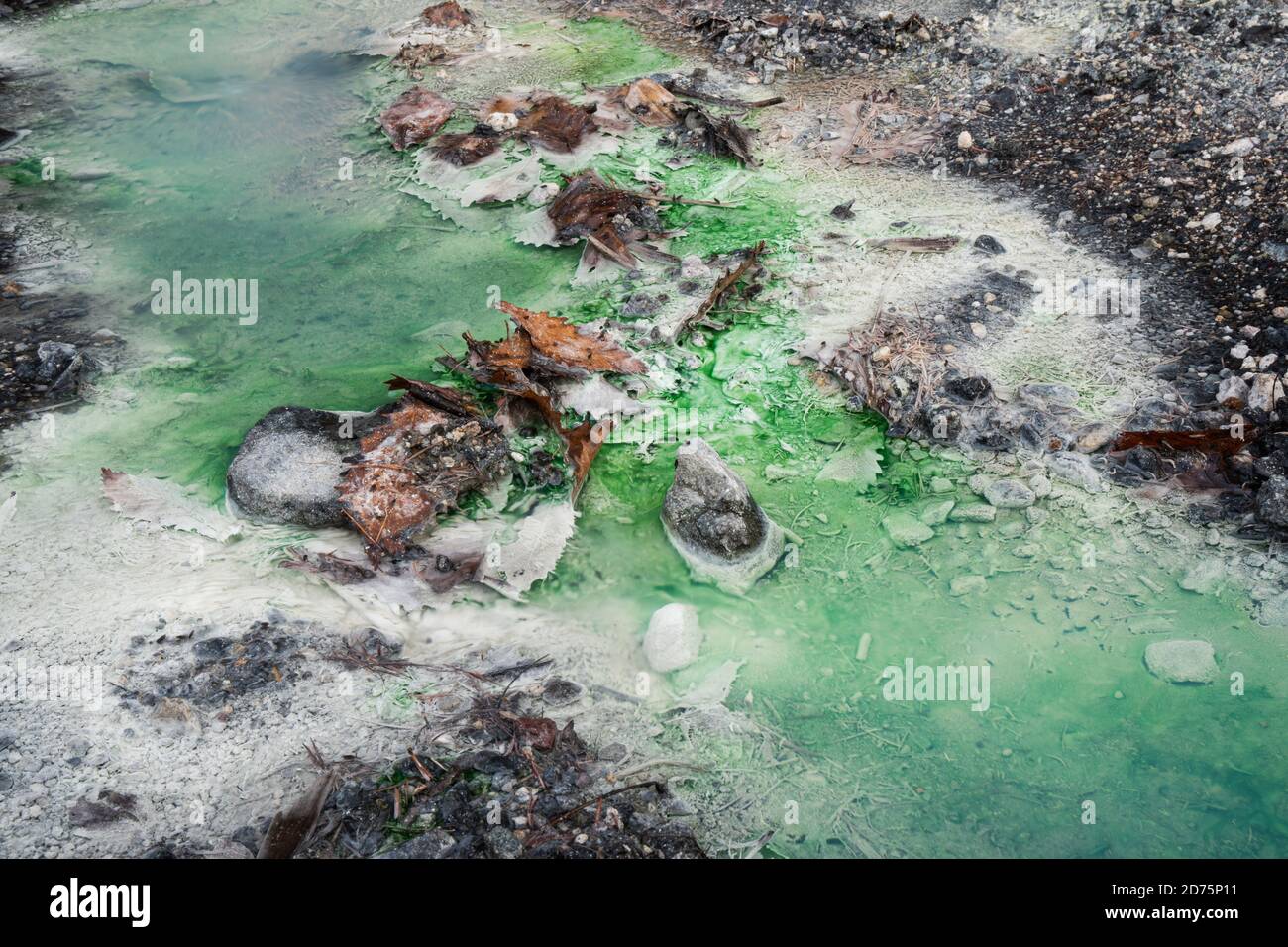 Hot springs in Japan coming out from the ground. The water is green ...