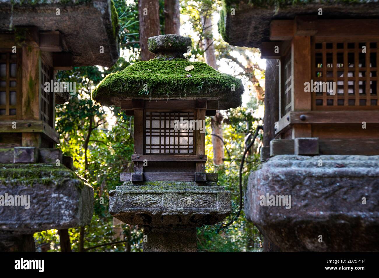 Stone and wood lantern at shinto shrine in Japan Stock Photo - Alamy