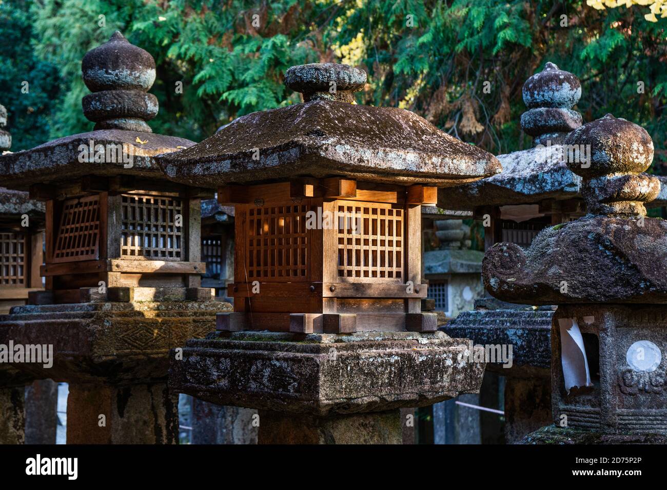 Stone and wood lantern at shinto shrine in Japan Stock Photo - Alamy