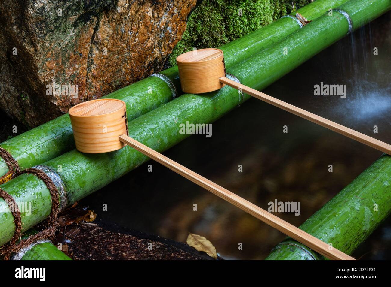Entrance to a shinto shrine hi-res stock photography and images - Alamy