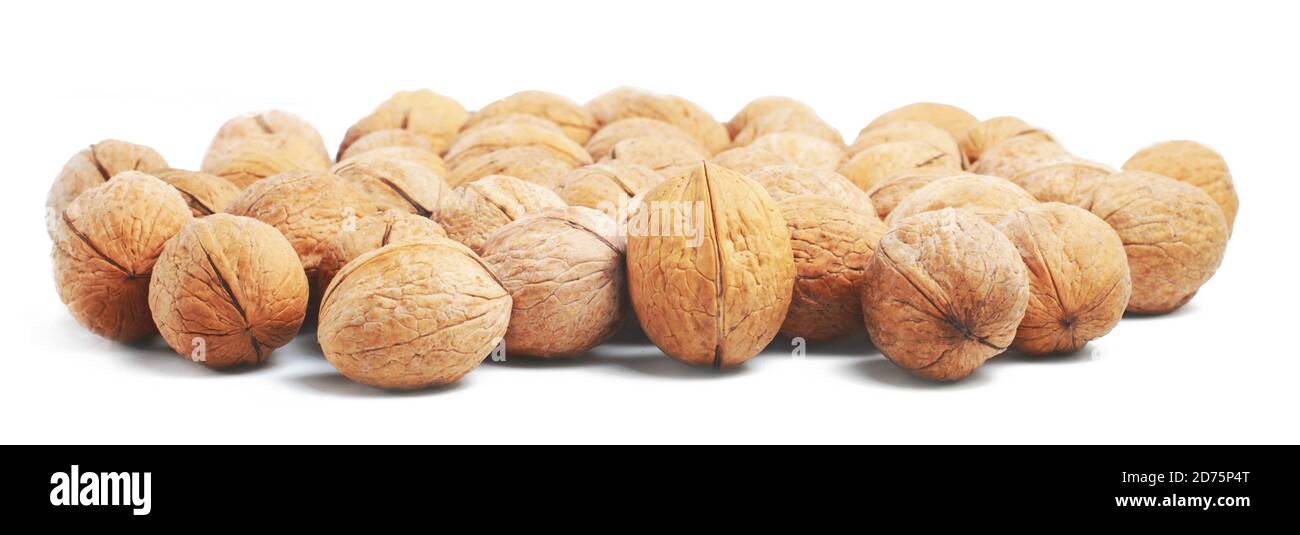 Fresh walnut Isolate on a white background. Group. Side view Stock ...