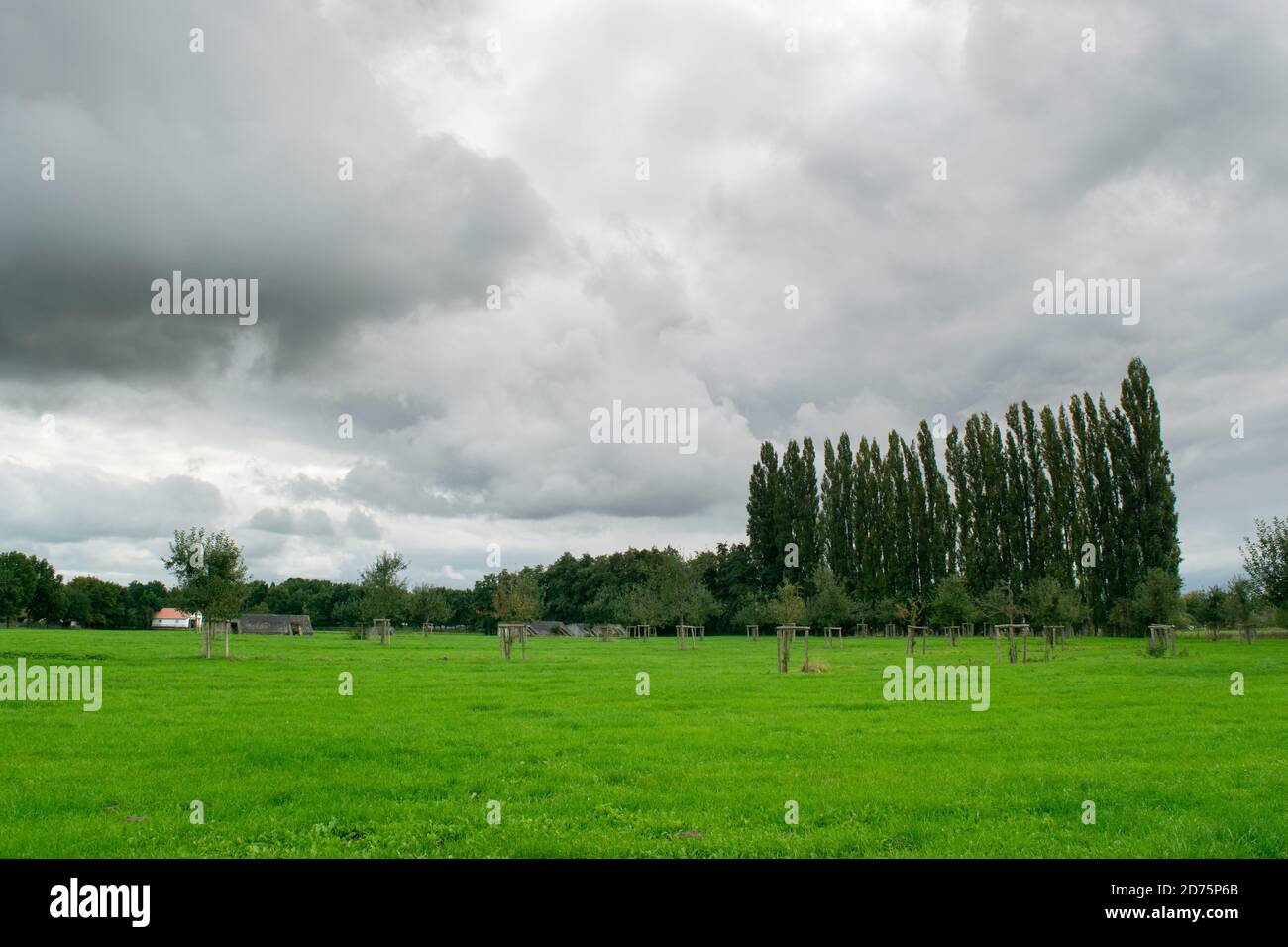 Utrecht countryside hi-res stock photography and images - Alamy