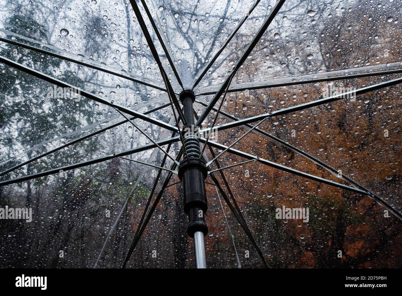 Raindrops on the umbrella hi-res stock photography and images - Alamy