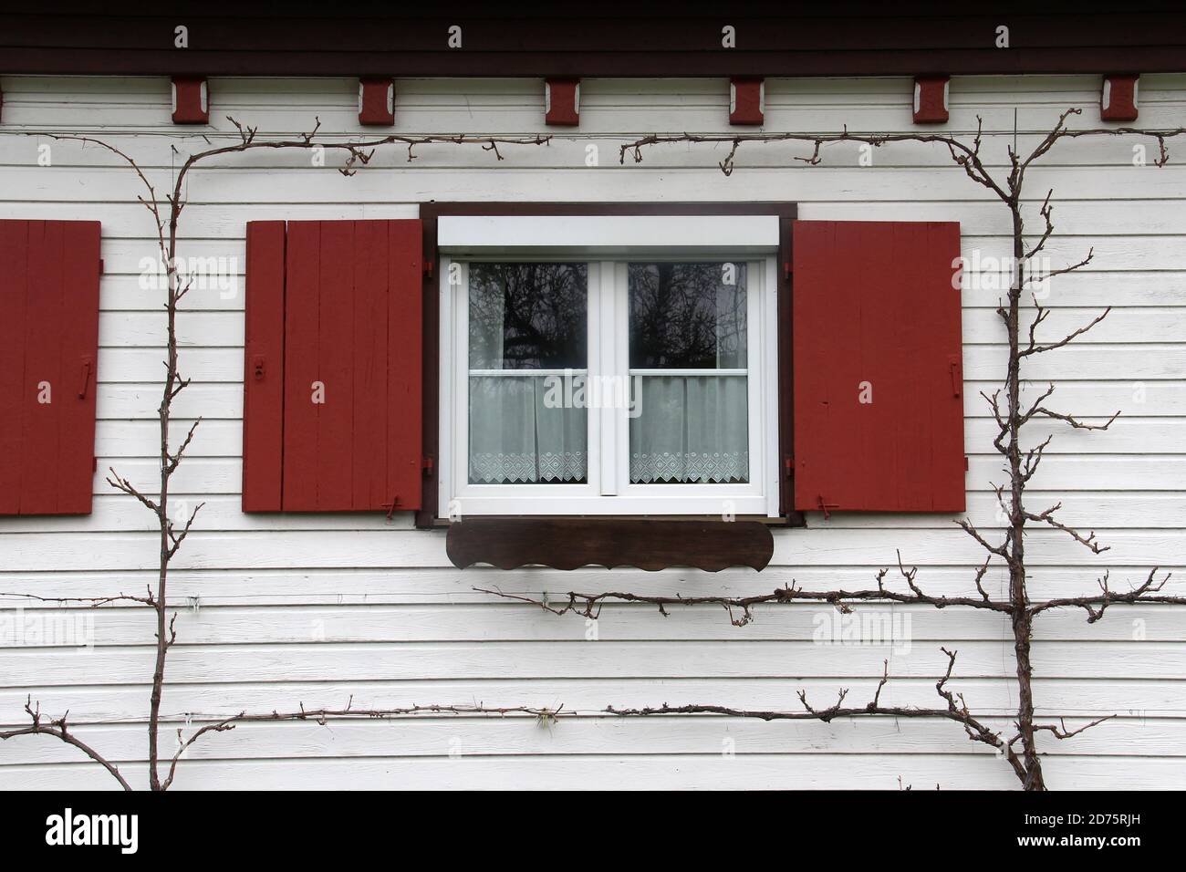 Beautiful shot of bare tree forming a frame around a house window Stock ...