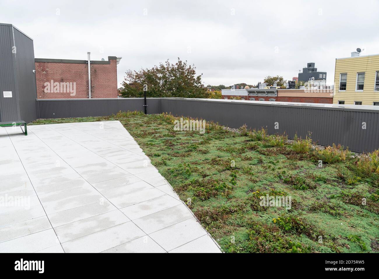 Newtown library hi-res stock photography and images - Alamy