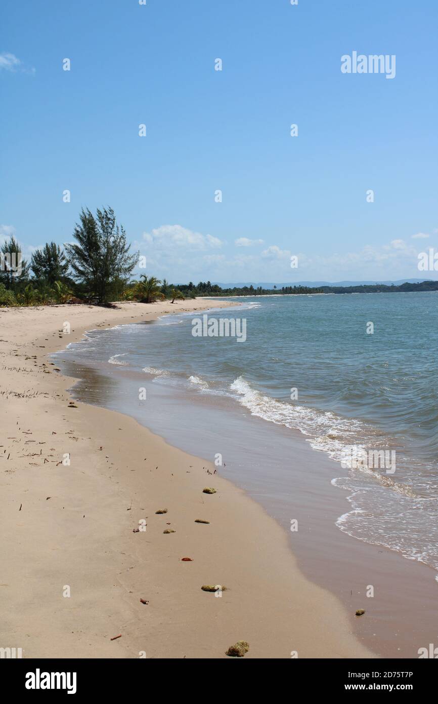 Sunny day in a Desert Beach in Brazil Stock Photo - Alamy