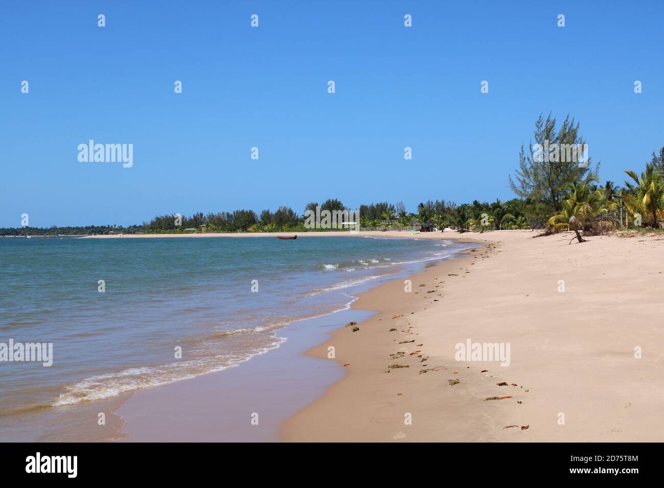 Sunny day in a Desert Beach in Brazil Stock Photo - Alamy
