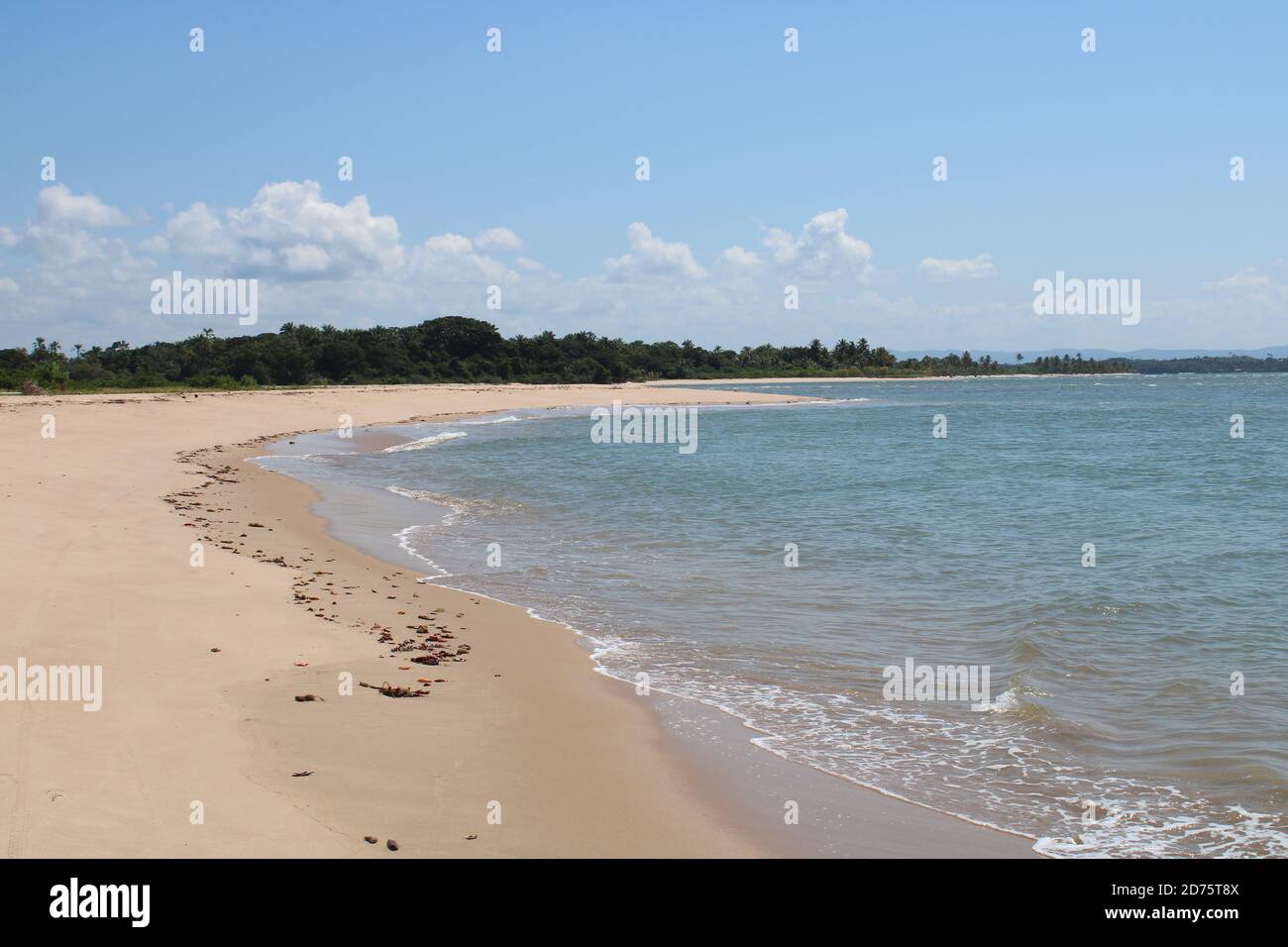 Sunny day in a Desert Beach in Brazil Stock Photo - Alamy