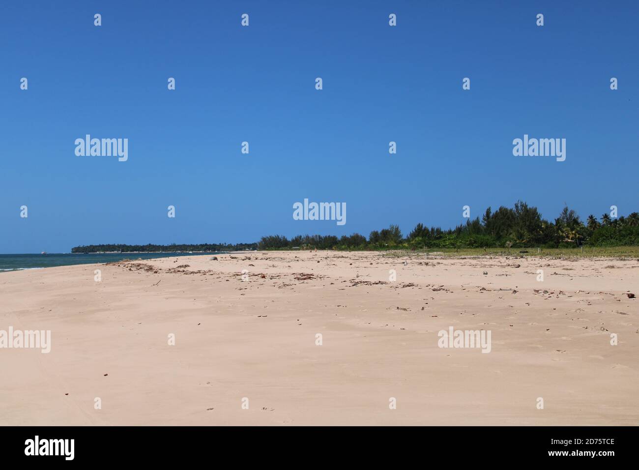 Sunny day in a Desert Beach in Brazil Stock Photo - Alamy