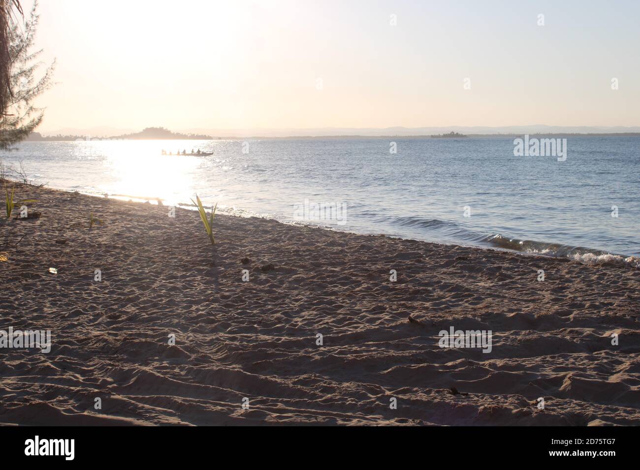 Sunny day in a Desert Beach in Brazil Stock Photo - Alamy