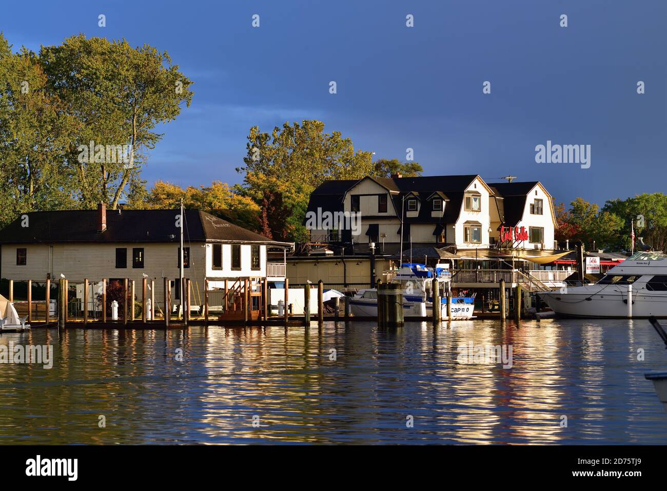 Saugatuck, Michigan, USA. Buildings reflect the late afternoon sun ...