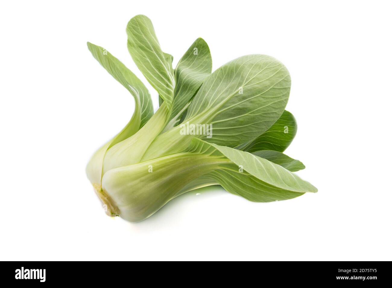 Fresh green bok choy or pac choi chinese cabbage isolated white ...