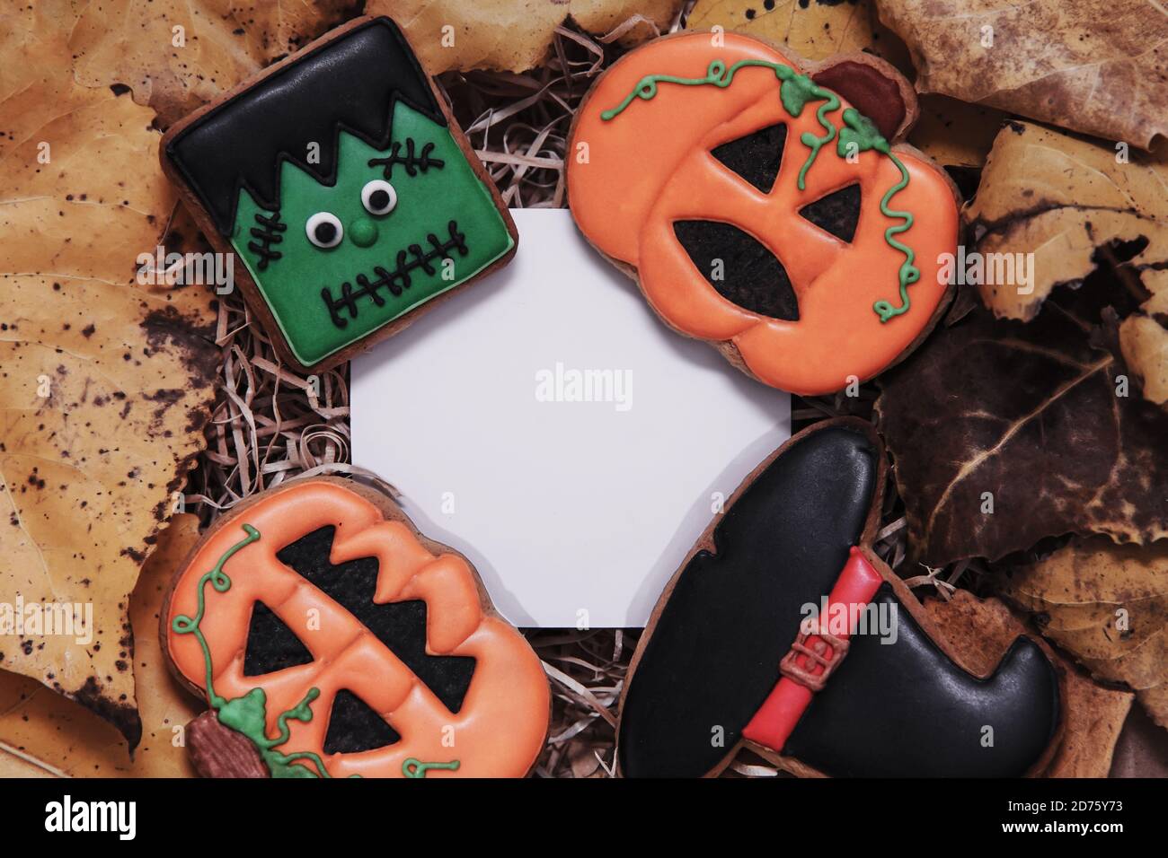 Halloween ginger cookies hi-res stock photography and images - Alamy