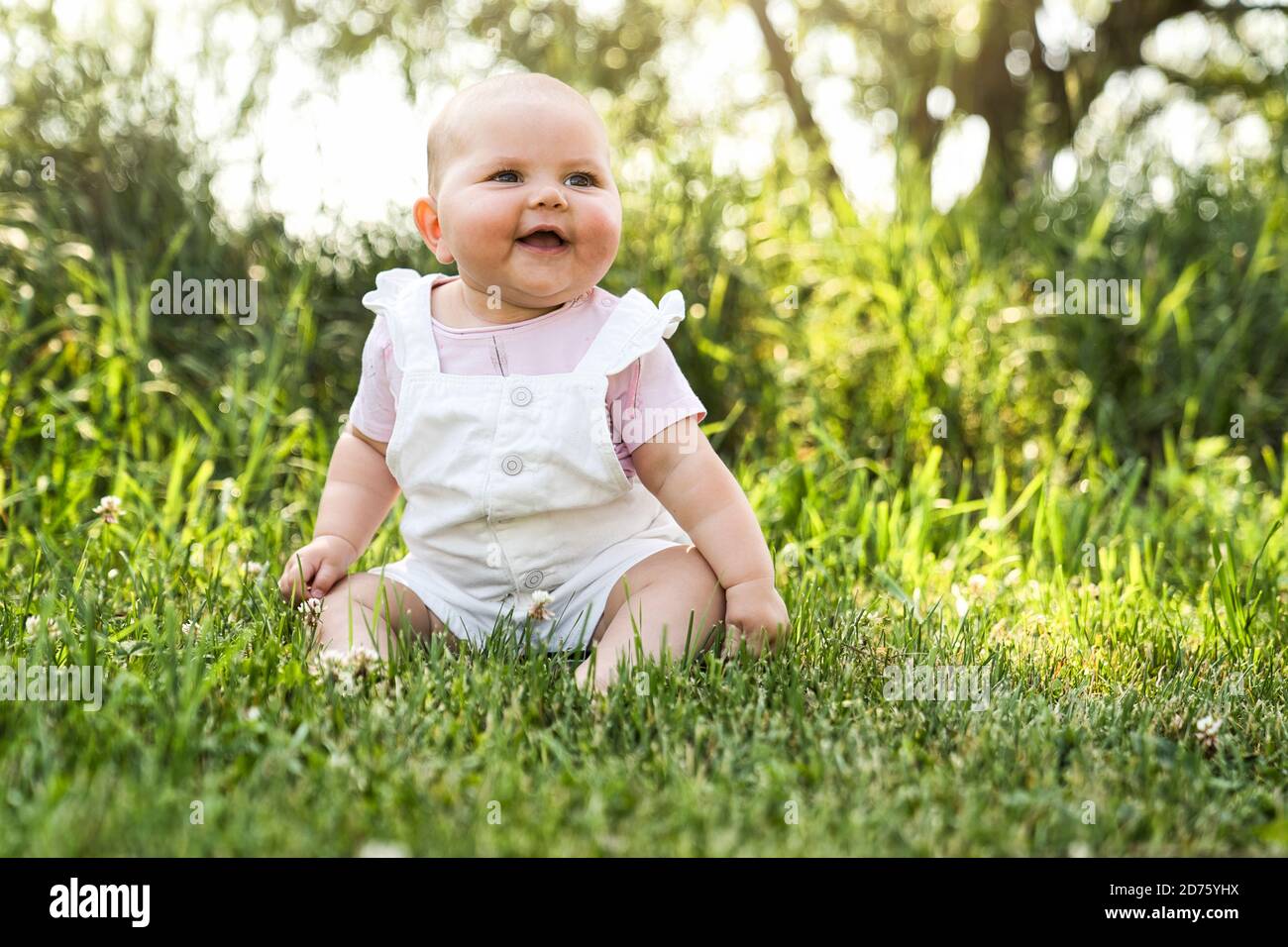 Happy adorable chubby baby girl sitting on the grass Stock Photo - Alamy