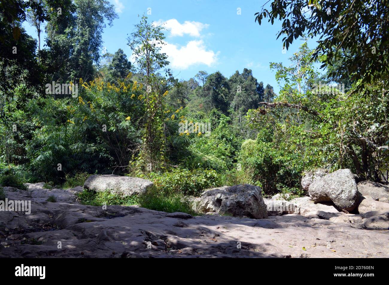 Thailand - By Haew Suwat Waterfall in Khao Yai National Park Stock ...