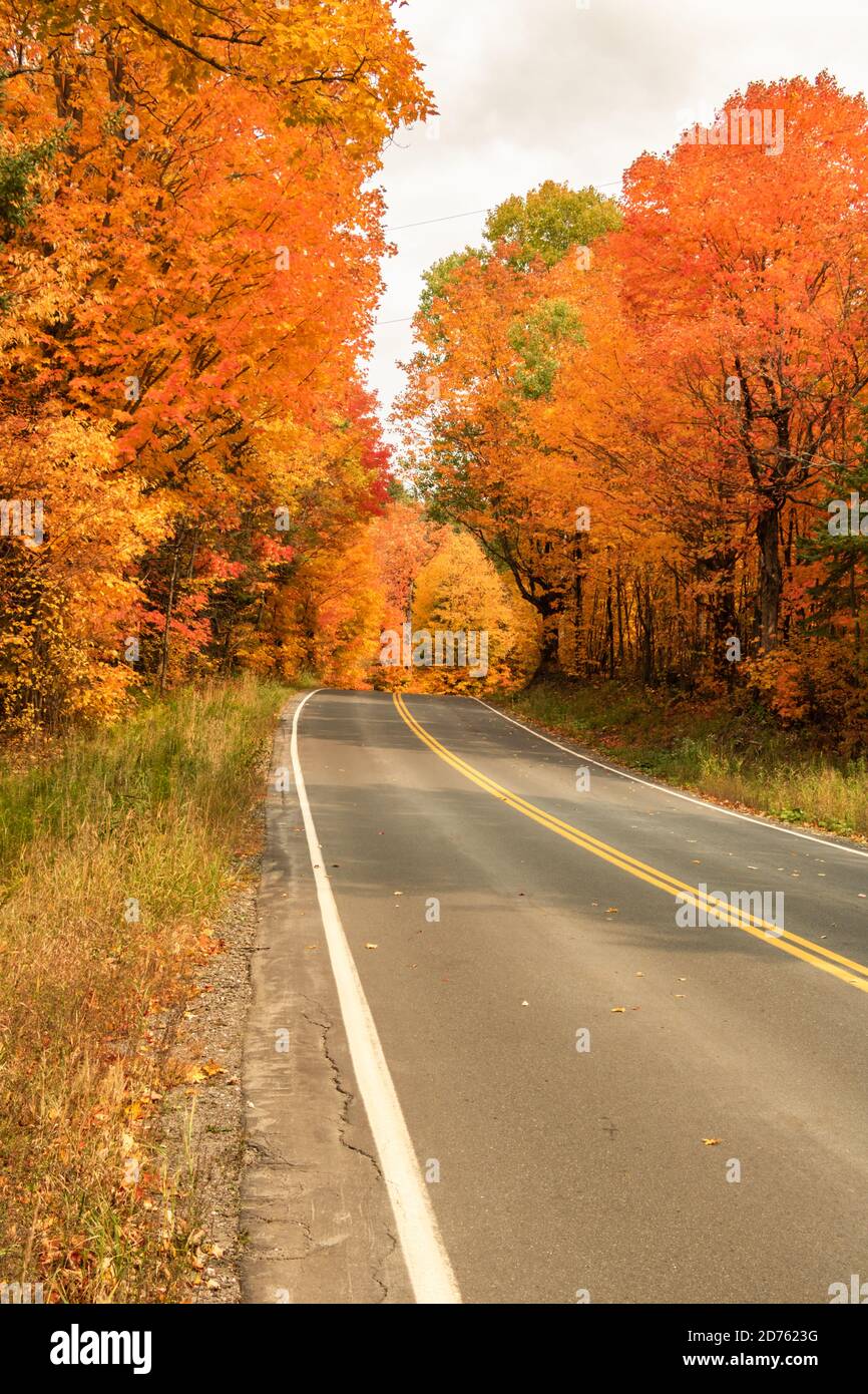 Awesome fall foliage colorful trees and scenic pathway Stock Photo - Alamy