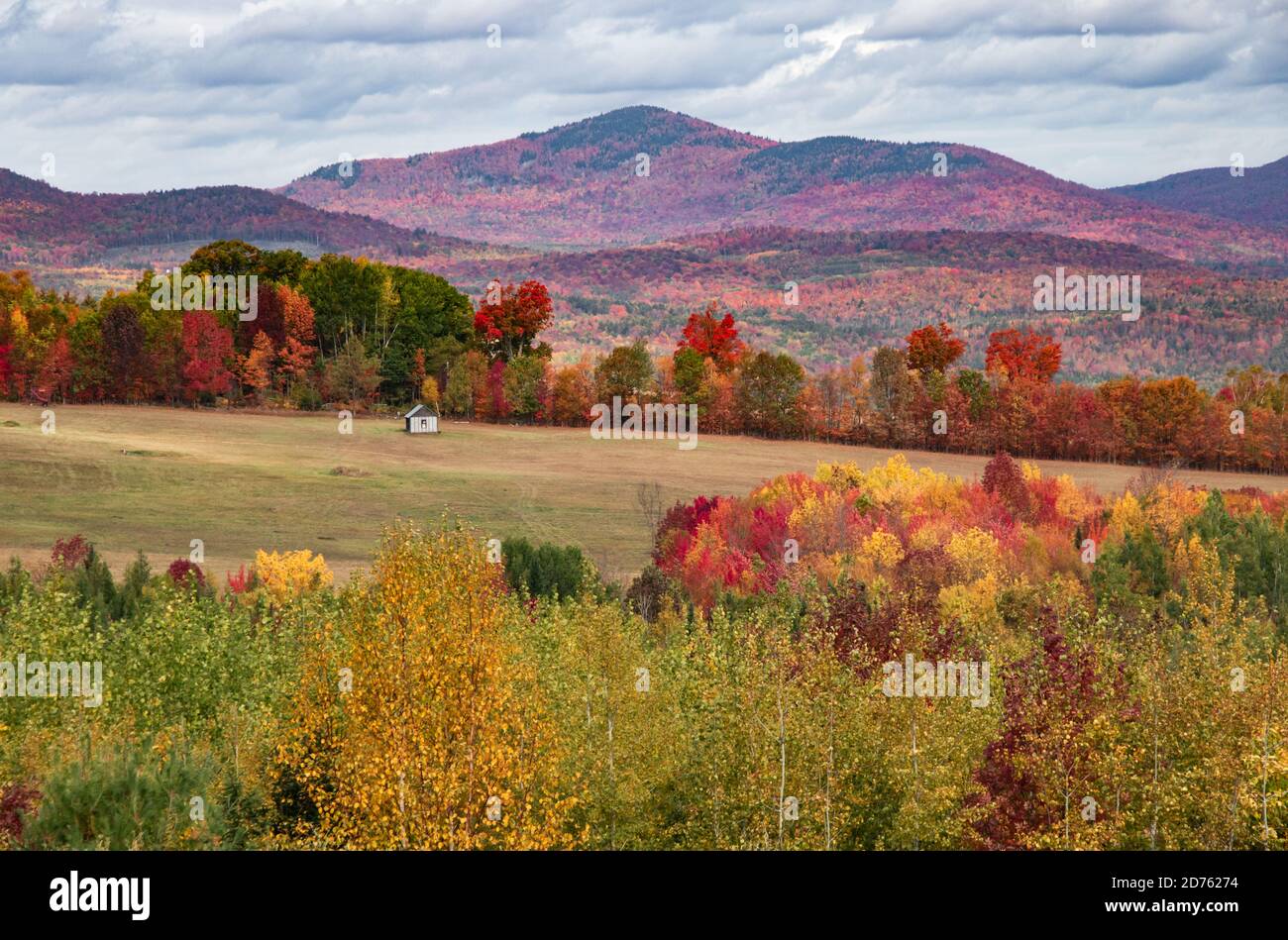 Awesome fall foliage colorful trees and scenic pathway Stock Photo - Alamy
