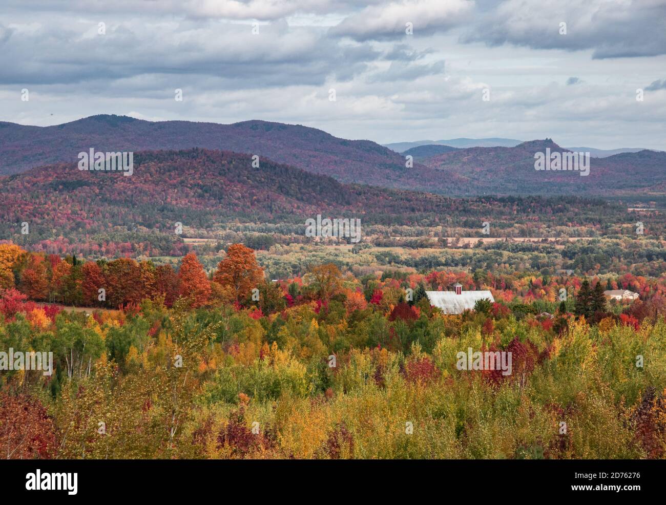 Awesome fall foliage colorful trees and scenic pathway Stock Photo - Alamy