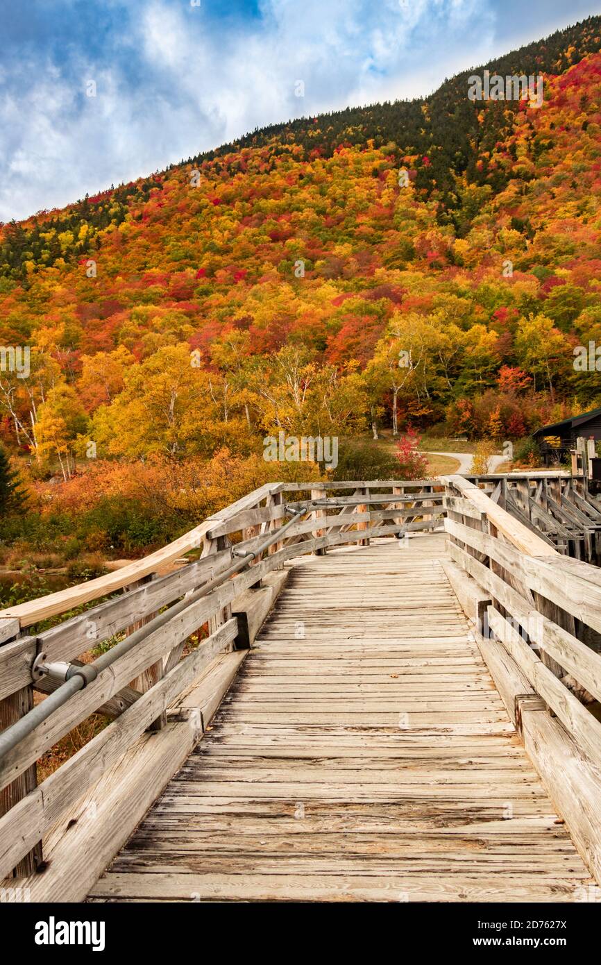 Awesome fall foliage colorful trees and scenic pathway Stock Photo - Alamy
