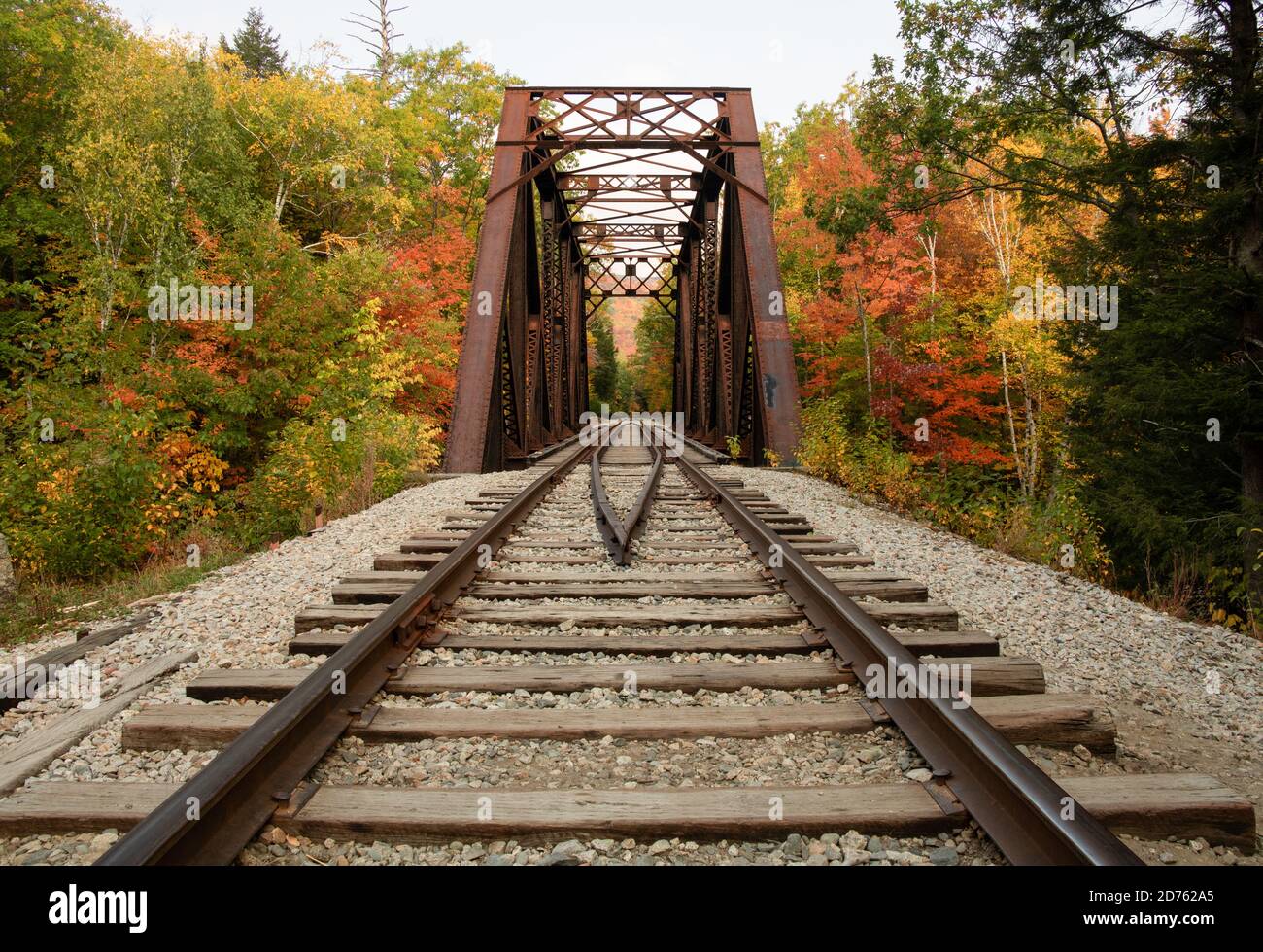 Awesome fall foliage colorful trees and scenic pathway Stock Photo - Alamy