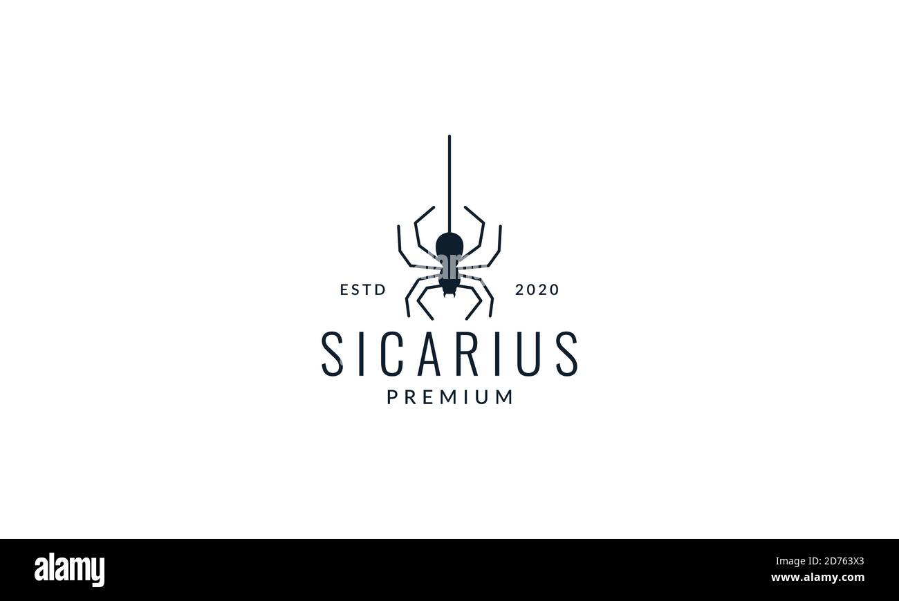 Huntsman spider illustration hi-res stock photography and images - Alamy