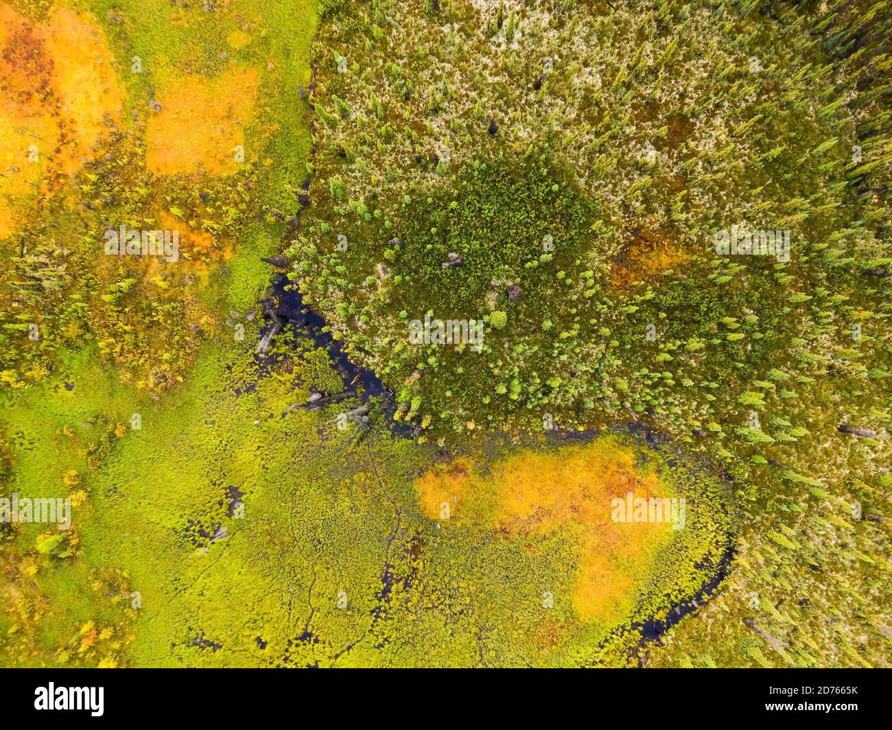 Aerial view of colorful pond in the marshlands Stock Photo - Alamy