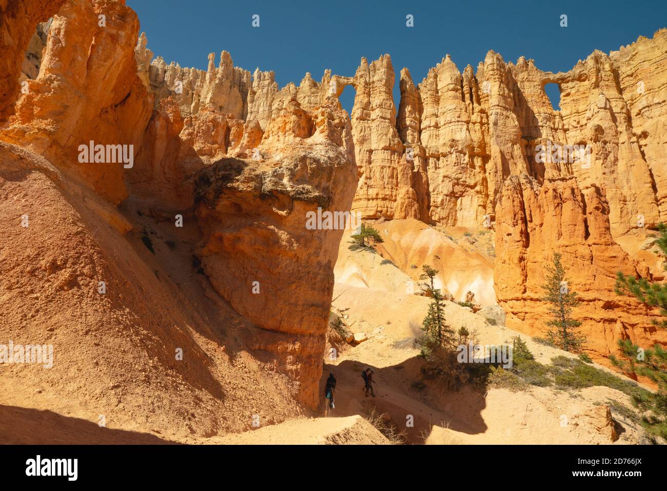Bryce canyon wall of windows hi-res stock photography and images - Alamy