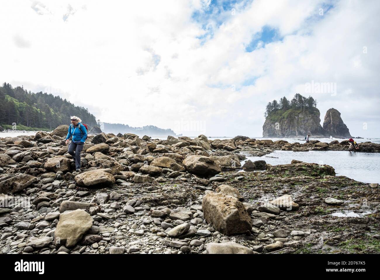 people exploring the tide pools at 2nd Beach at low tide, Olympic Coast ...