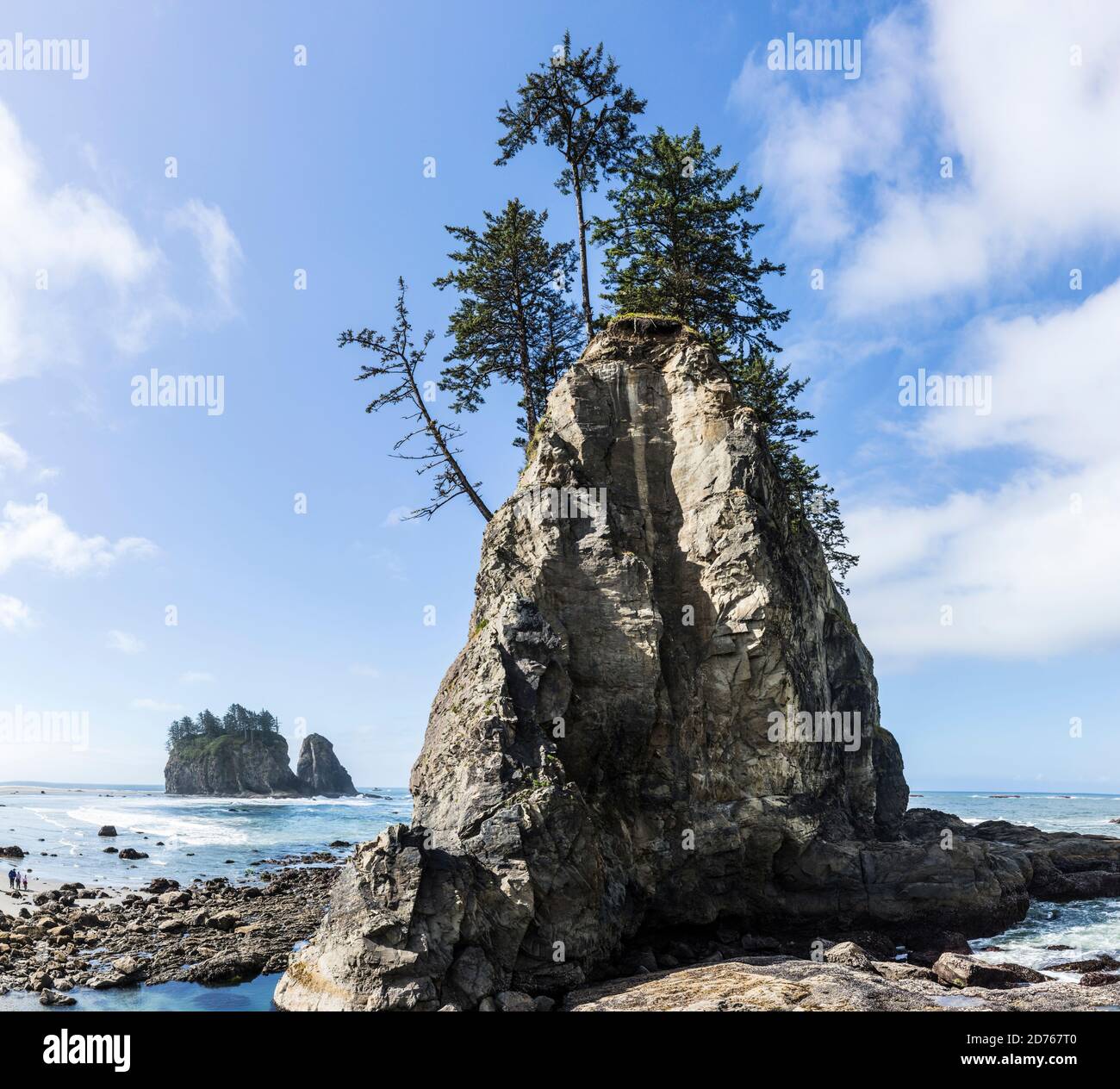 Sea stacks off of 2nd Beach, Olympic Coast National Marine Sanctuary ...