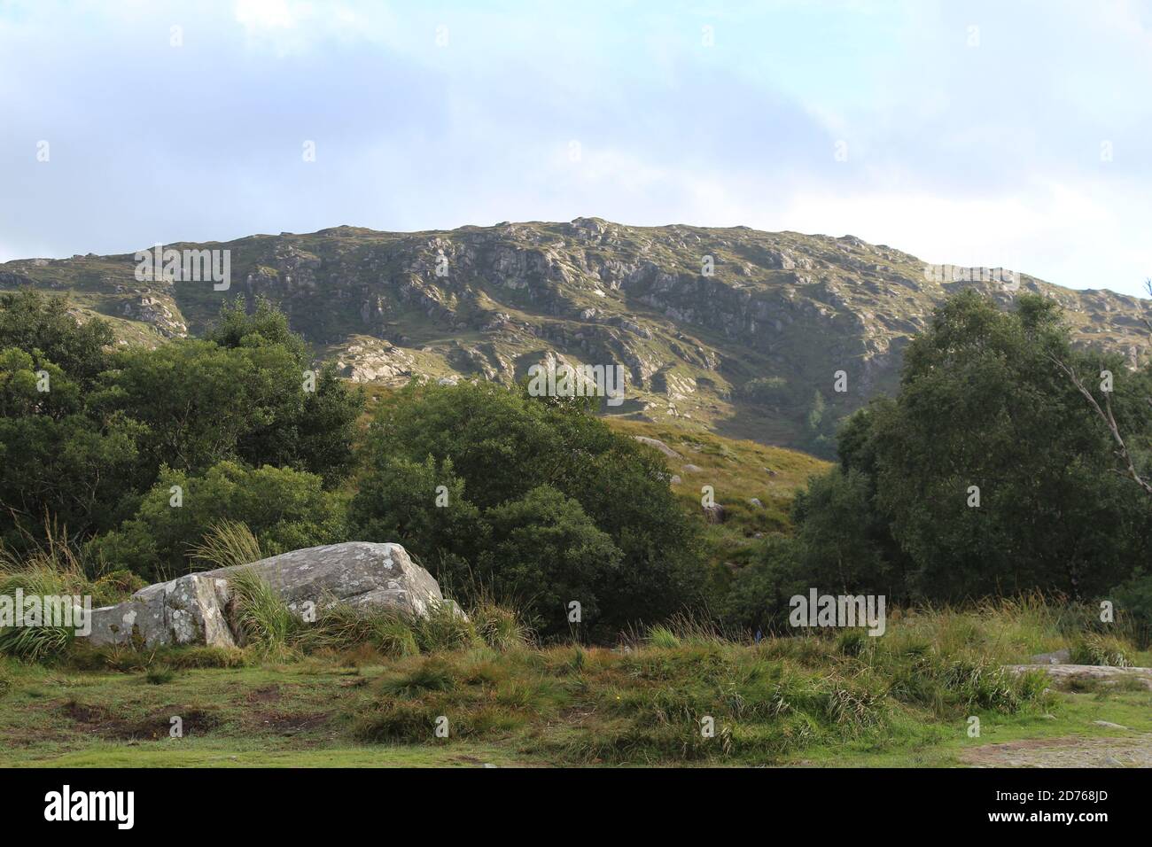 Natural environment with small hills and shrubs Stock Photo - Alamy