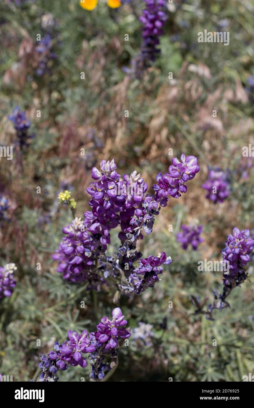 The keel mountains hi-res stock photography and images - Alamy