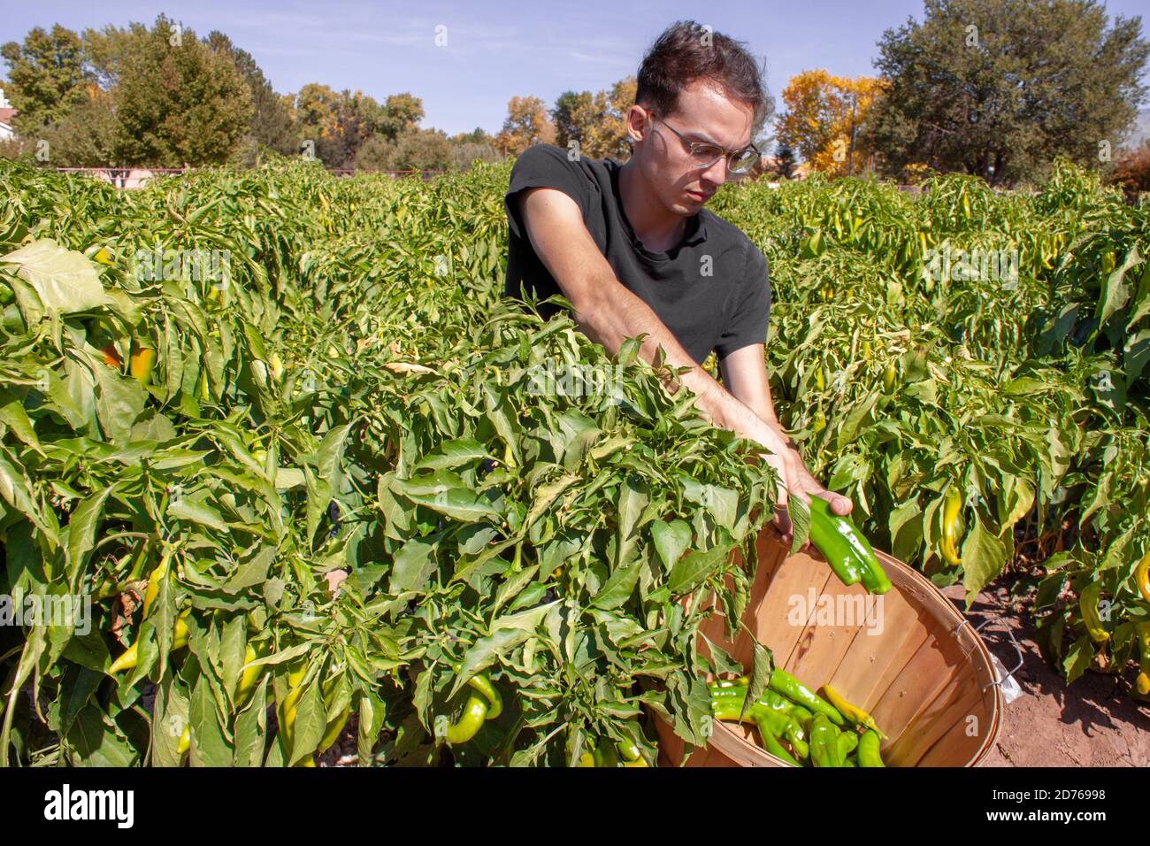 Valley of mexico farming hi-res stock photography and images - Alamy