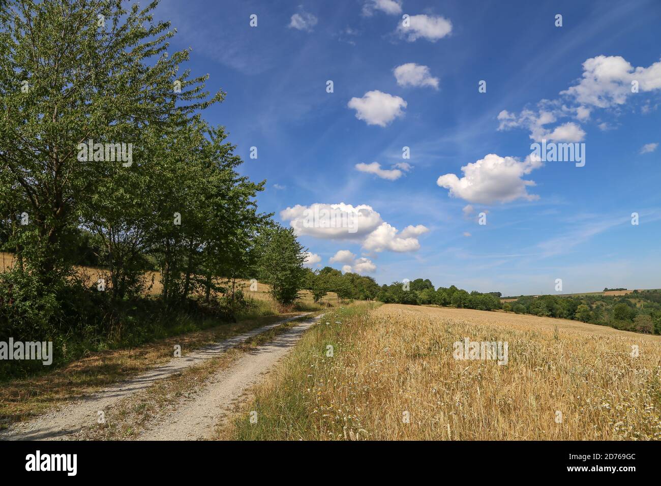 Summer landscape in the countryside Stock Photo - Alamy