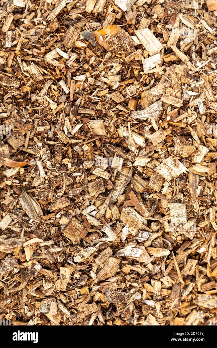Top view of the pile of sawdust on the ground Stock Photo - Alamy