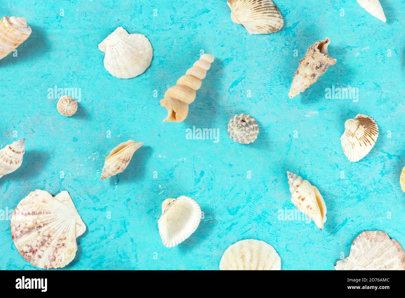 Flat lay ocean pattern with sea shells, overhead shot on a teal blue ...