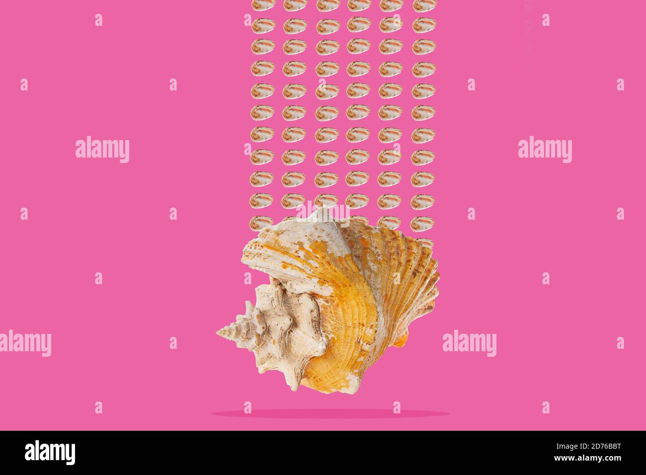 Collage of modern art. A large seashell from which comes up a repeating ...
